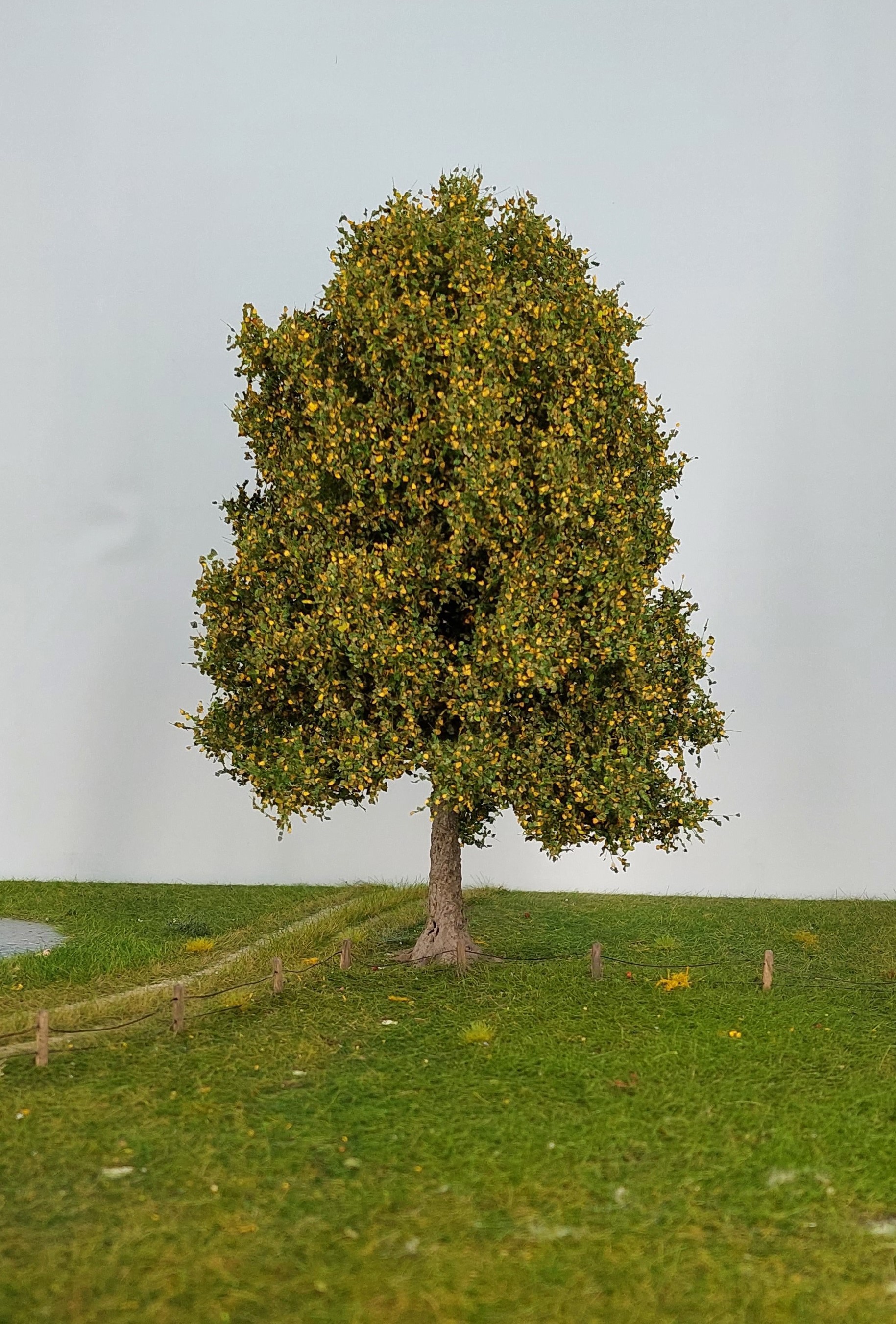 Silhouette 341-001-3 Esche 1 Stück 25-29cm / Frühherbst World of Trains ...