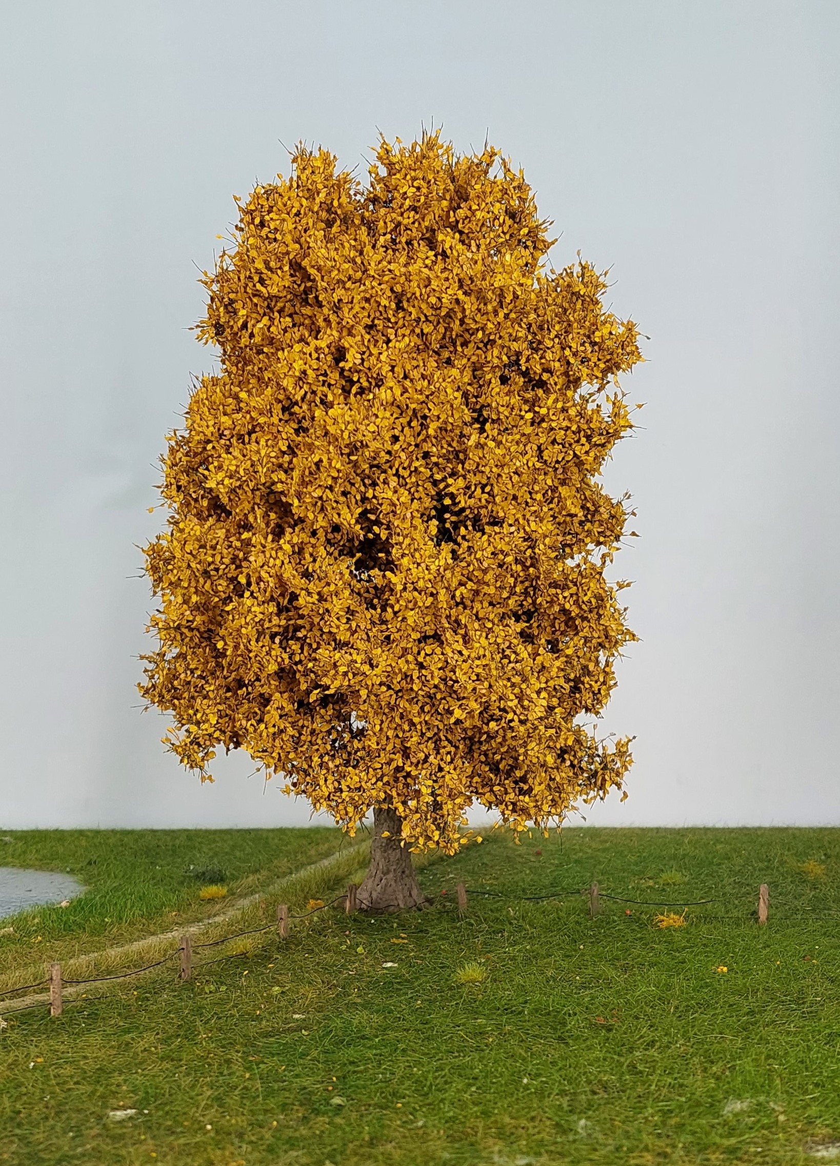 Silhouette 385-001-4 Linde 1 Stück 25-29cm / Spätherbst World of Trains Modelleisenbahn Shop